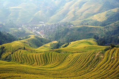 Risaie a terrazze di Longji: guida e consigli di viaggio - Viaggio in Cina